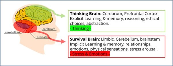 The Science Behind Stress: Part 1 – What is stress? – Tai Chi School ...