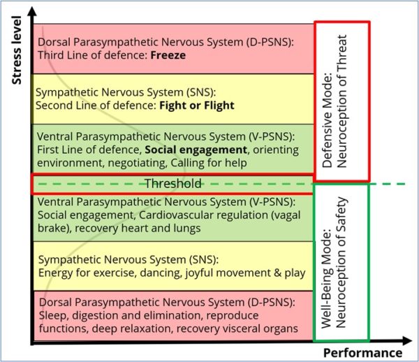 The Science Behind Stress: Part 1 – What is stress? – Tai Chi School ...