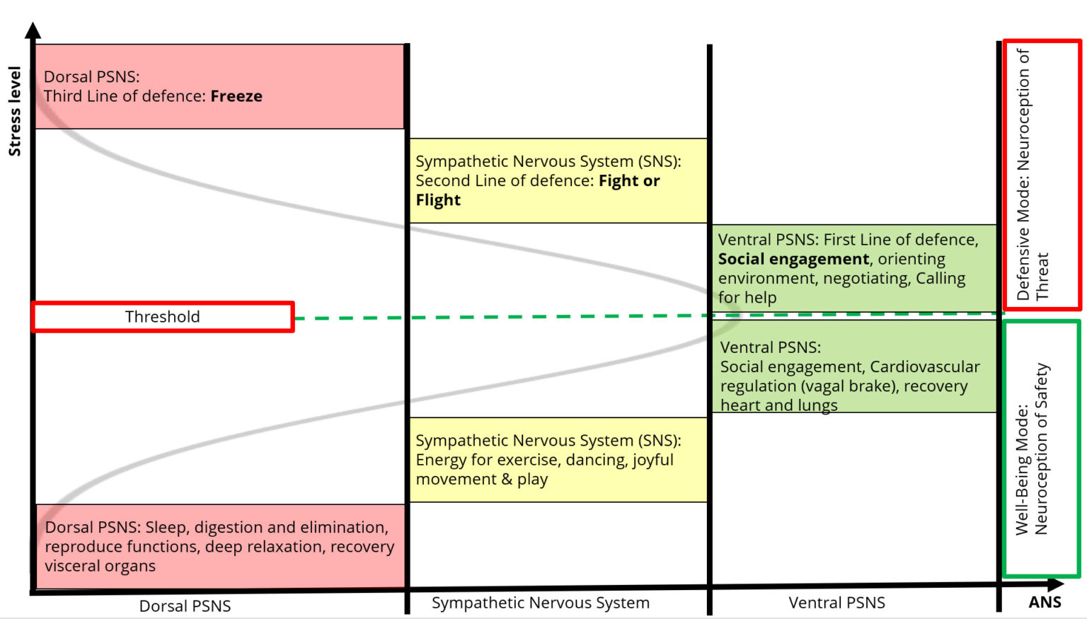 The Science Behind Stress: Part 1 – What is stress? – Tai Chi School ...