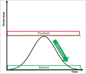 The Science Behind Stress: Part 1 – What is stress? – Tai Chi School ...
