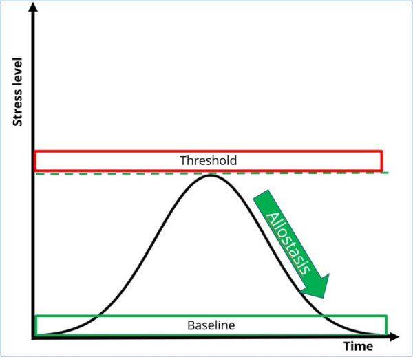 The Science Behind Stress: Part 1 – What is stress? – Tai Chi School ...