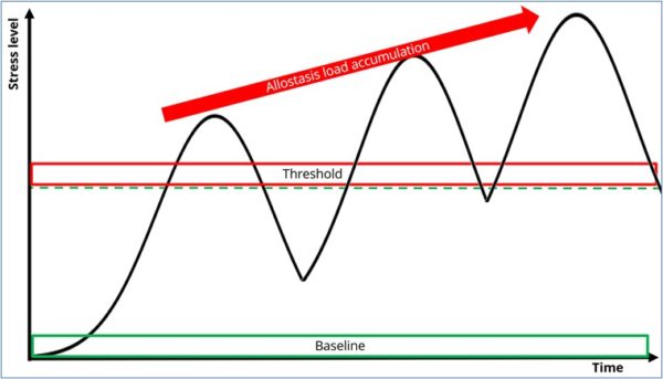 The Science Behind Stress: Part 1 – What is stress? – Tai Chi School ...